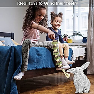 PRAZONVEE Rabbit Chew Toys, Molar Wood Treats Toys for Hamster, Organic Apple Strings Chew and Play Toys Teeth Grinding, with 2 Pine Nuts, for Bunny, Guinea Pigs, Chinchillas and Small Animals