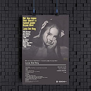 ADILAIDUN Pop Record Did you know that there's a tunnel under Ocean Blvd Album Cover Posters Music Collection Disc Wall Art Print Canvas Posters 12x18inch（Unframed 30x45cm Lana Del Rey）