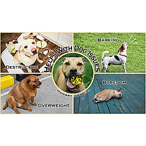 Hungry Dog Co.- Super Durable Premium Dog Balls -Pet Safe Dog Toys for Fun and Play. Very Bouncy and Durable -Great for Aggressive Chewers -Stimulating Colors and Patterns -2 Multi-Color 3” Balls #2