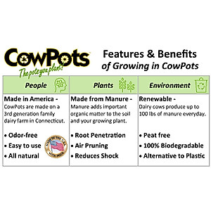 CowPots CP4-12 Square, 4-Inch (12 Pack), Brown