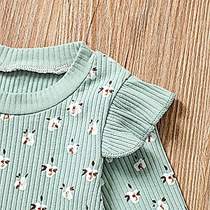 Kids Baby Girl Floral Clothes Set Ruffle Long Sleeve Pullover Tops + Bowknot Pants 2PCS Girls Outfits (Green, 2-3T)