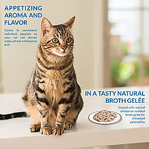 INABA Twin Packs for Cats, Grain-Free Shredded Chicken & Broth Gelée Side Dish/Topper Pouch, 1.4 Ounces per Serving, 16.8 Ounces Total (12 Servings), Tuna & Chicken Recipe in Tuna Broth