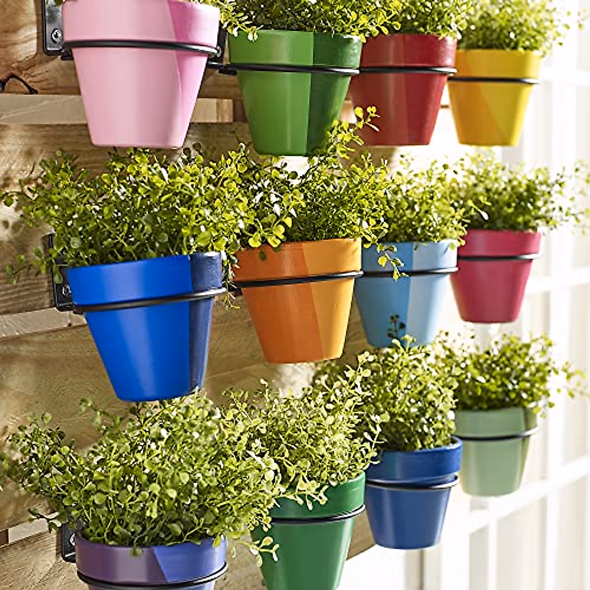 Apple Barrel Gloss Paint Set, 16 Piece (2-Ounce), PROMOABG Colors