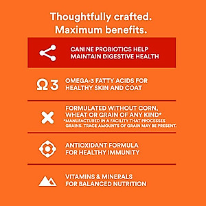 WholeHearted Grain Free All Life Stages Chicken & Pea Recipe Dry Dog Food 5 lbs.