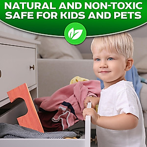 Aromatic Cedar Blocks for Clothes Storage w/Cedar Oil, Red Cedar Wood Hang Ups for Closets & Drawers, Cedar Closet & Drawer Fresheners Set