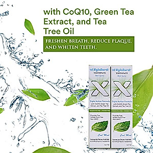 Xyloburst Natural Fluoride-Free Xylitol Premium Toothpaste with Xylitol and CoQ10 Cool Mint - SLS-Free, Paraben Free, Cruelty Free, 4 Ounce Tube Made in The USA (3 Tubes)