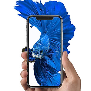 MAOUICI Tempered Glass Screen Protector for Nintendo Switch (6.2 inch),Case Friendly 9H Hardness HD Clear Anti-Fingerprint Film for Nintendo Switch [2-Pack]