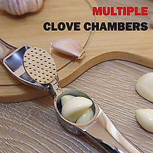 Garlic Press, Heavy Duty Garlic Mincer Ginger Press, Garlic Press Mincer, Professional Grade Garlic Crusher, Rustproof & Dishwasher Safe