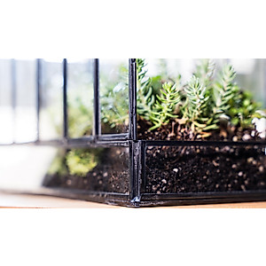 Urban Born Large Indoor Greenhouse Shape Terrarium — 10" x 6" x 10" (Black)