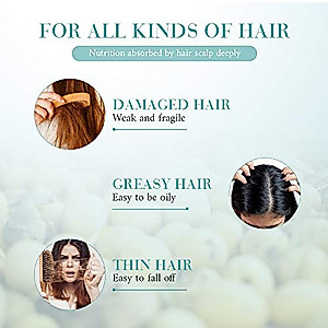 OPPEAL Travel Size 2in1 Shampoo & Conditioner with Marula Oil - 1.05 oz - Hotel Size for Use in Vacation Rental/Guest Room-SLS and Paraben Free-Ambergris Scent(100 Pack)