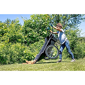 Polar Trailer 8376 Utility Cart, Standard, Black