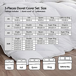 HOBBOY Chinese Style Beige Bedding Sets Lucky Red Lantern Pattern Duvet Cover with Zipper Closure 4 Corner Ties 2 Pillow Shams No Sheets Full