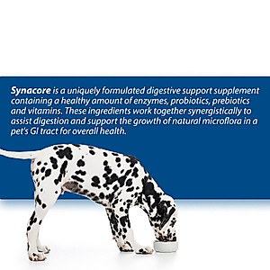 Van Beek Natural Science Synacore Canine - All Natural Formula to Provide Immune Support for Dogs & Help Maintain Digestive Health - Probiotics and Vitamins for Dogs - Pet Products - (30 Count)