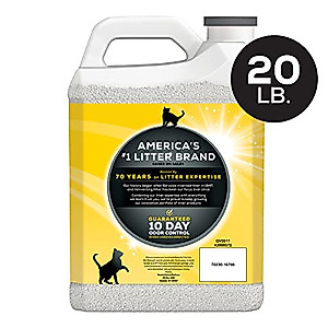 Purina Tidy Cats Clumping Cat Litter, 4-in-1 Strength Multi Cat Litter - (2) 20 lb. Jugs