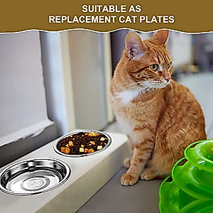 10 Pcs Shallow Cat Food Bowls 6.3 Inches Replacement Stainless Steel Cat Bowls Whisker Fatigue Relief Cat Bowls for Elevated Stand Metal Cat Dishes Basic Bowls for Cat Dishwasher Safe