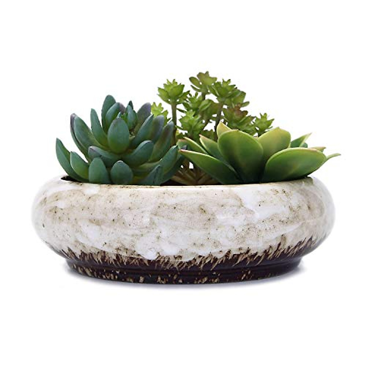 VanEnjoy 7.3 inch Round Large Shallow Succulent Ceramic Glazed Planter Pots with Drainage Hole, Bonsai Pots Garden Decorative Cactus Stand Flower Container (White)