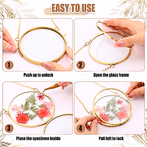 BBTO 8 Pack Round Hanging Glass Frame Small Brass Hanging Photo Frames Set Wall Mounted Gold Double Glass Display for Pressed Flowers Photos Dried Specimen DIY Artwork Display Decoration, 3.9 Inch