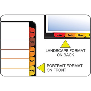 Cardinal OneStep Binder Dividers, 12-Tab Monthly, Customizable Table of Contents, Reversible Multicolor Tabs, 1 Set (60318CB)