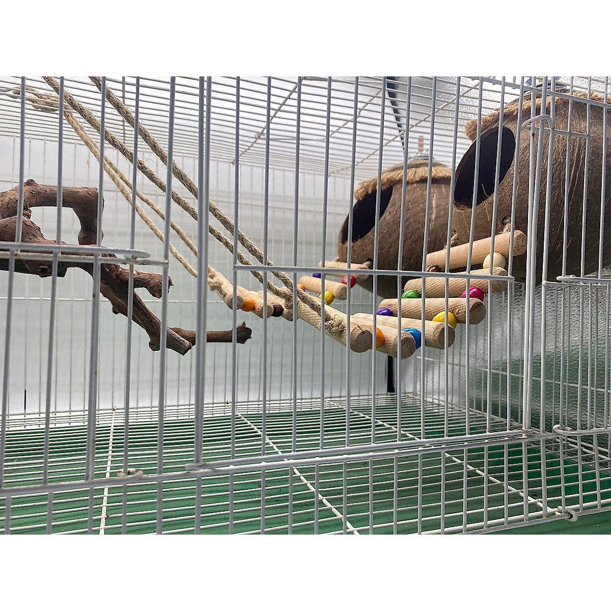 kuminamoja Coconut Bird's Nest with Ladder for Parrots Parakeet Conures Cockatiel and Small Animals (Large)