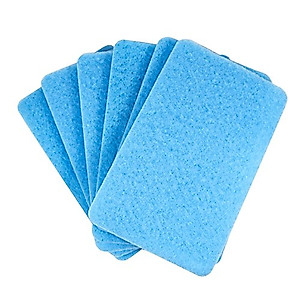 Bugs Out Bug Removing Sponge (6 Pack) - No Scratch - Cars, Trucks, RVs, and Boat