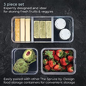 iDesign The Spruce 3-Piece Plastic Refrigerator Organizer Bin Set with Lids, Clear/Gray