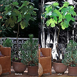 winemana 6 Pack Large High Silver Reflective Mylar Film, 83x 63 in, High Reflectivity, Keep Warm, 100% Environmentally Safe, Perfect for Plant Growth, First Aid, Marathon, Camping, Outdoor Survival