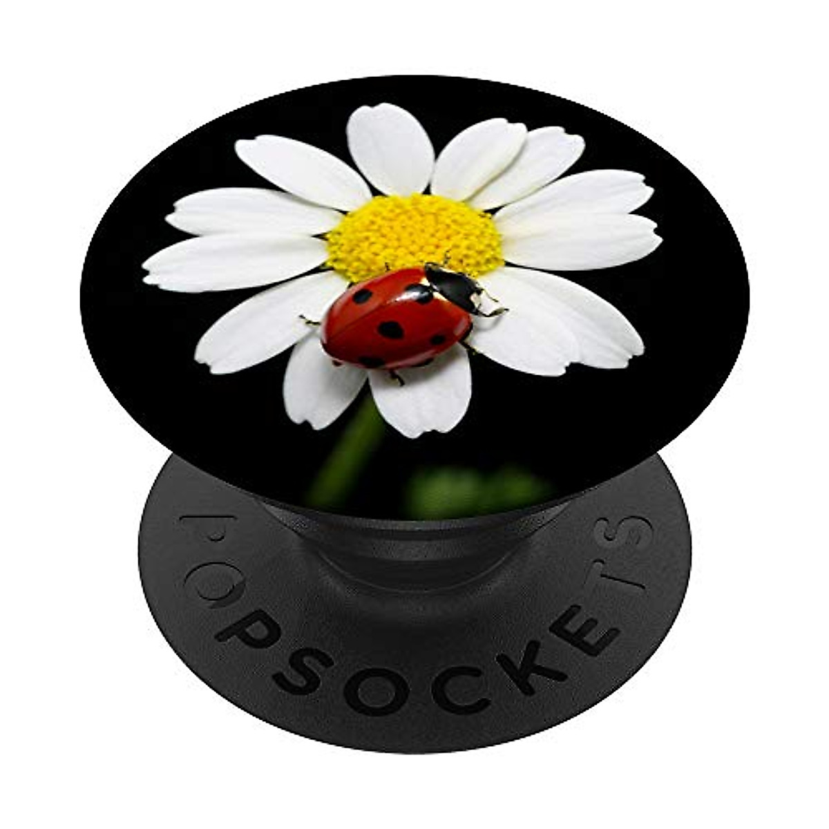 Cute Ladybug on Yellow Daisy Flower PopSockets Swappable PopGrip