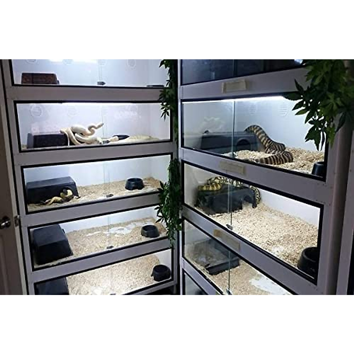 SDZGQPET Amypet Different Size Reptile Use Hide Cave for Snakes,Reptiles, Ball Pythons Durable Material Easy to Clean 10.2 x7.48 x 2.75inch (L)