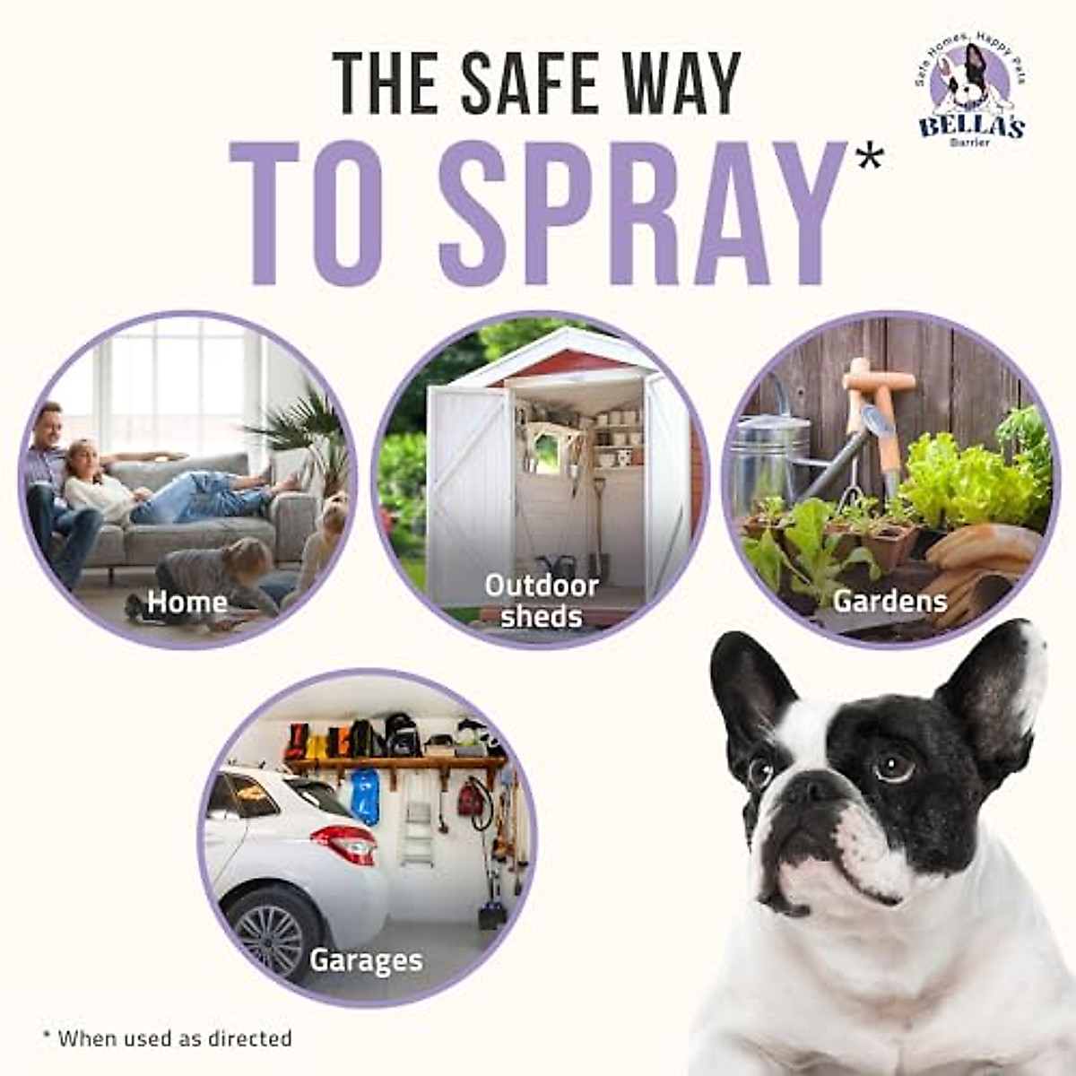 Bella's Barrier Earwig Repellent - Kills and Repels Earwigs, Bugs, Ants, Fly Spray and More - Bug Spray for Home, Spray Indoor and Outdoor, Indoor Bug Spray Care for Pets (16 Oz)