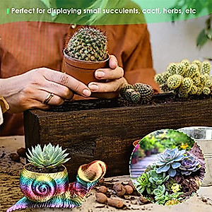 KEEP HOTTER Turtle Planter，Penis Planter，Turtle Planters for Outdoor Plants，Funny Planter，Penis Decor for Succulent Plants，Plant Pots for Fun Planting Experience for Home Office Desk Mini Ornament