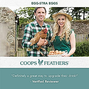 Healthy Hen Egg-Stra Eggs - Organic Chicken Water Additive with Aloe Vera, Calendula Oil, Thyme Oil, and More - 16 oz - Supports Egg Production and Immunity - All Natural - Made in the USA (1 pack)