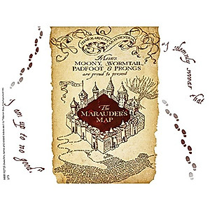Tervis Harry Potter The Marauder's Map Made in USA Double Walled Insulated Tumbler Travel Cup Keeps Drinks Cold & Hot, 24oz, Classic