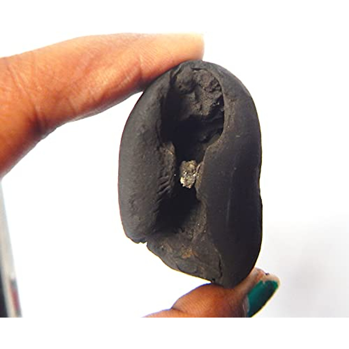 phoenix888 Adwaitya Narsimha Maha Vishnu Shaligram Nepal Kali Gandaki