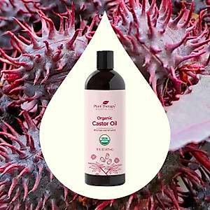 Plant Therapy Castor Oil USDA Organic Cold Pressed 100% Pure Hexane Free 16 oz Conditioning & Healing, For Dry Skin, Hair Growth - Skin, Hair Care, Eyelashes