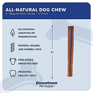 Downtown Pet Supply 6 inch 10 Pack of Bully Sticks for Medium Dogs & Large Dogs, Single Ingredient, Rawhide-Free Long Lasting Bully Sticks for Medium Dogs- No Hide Bullsticks for Bully Stick Holder