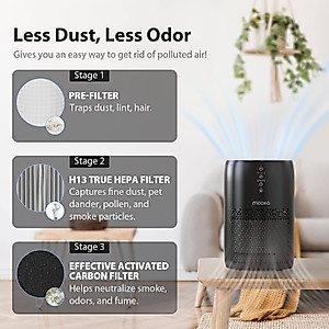 H13 Replacement Filter Compatible with MOOKA and KOIOS EPI153 Air Purifier