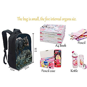 Dinosaur School Bag Rucksack Backpack (Dinosaur 5 14 Inch)
