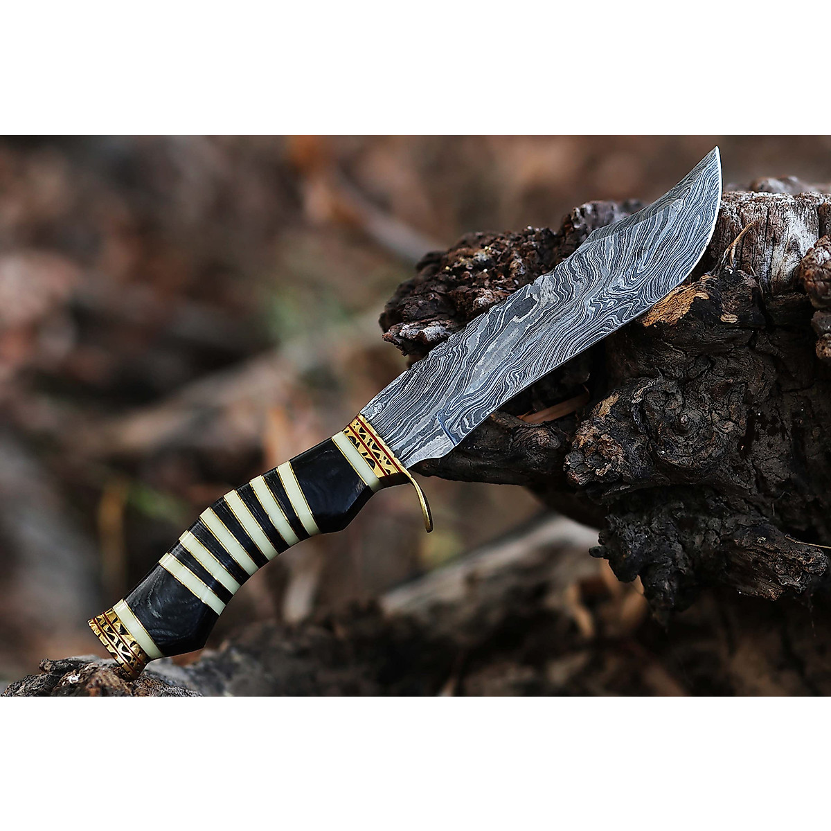 12.5 Inch long Hunting knife, Collectible knife, Scale is made of Camel bone and dollar wood, embellished with Engraved brass finger guard and pommel, Hand forged Twist pattern Damascus steel blade, Comes with Leather sheath