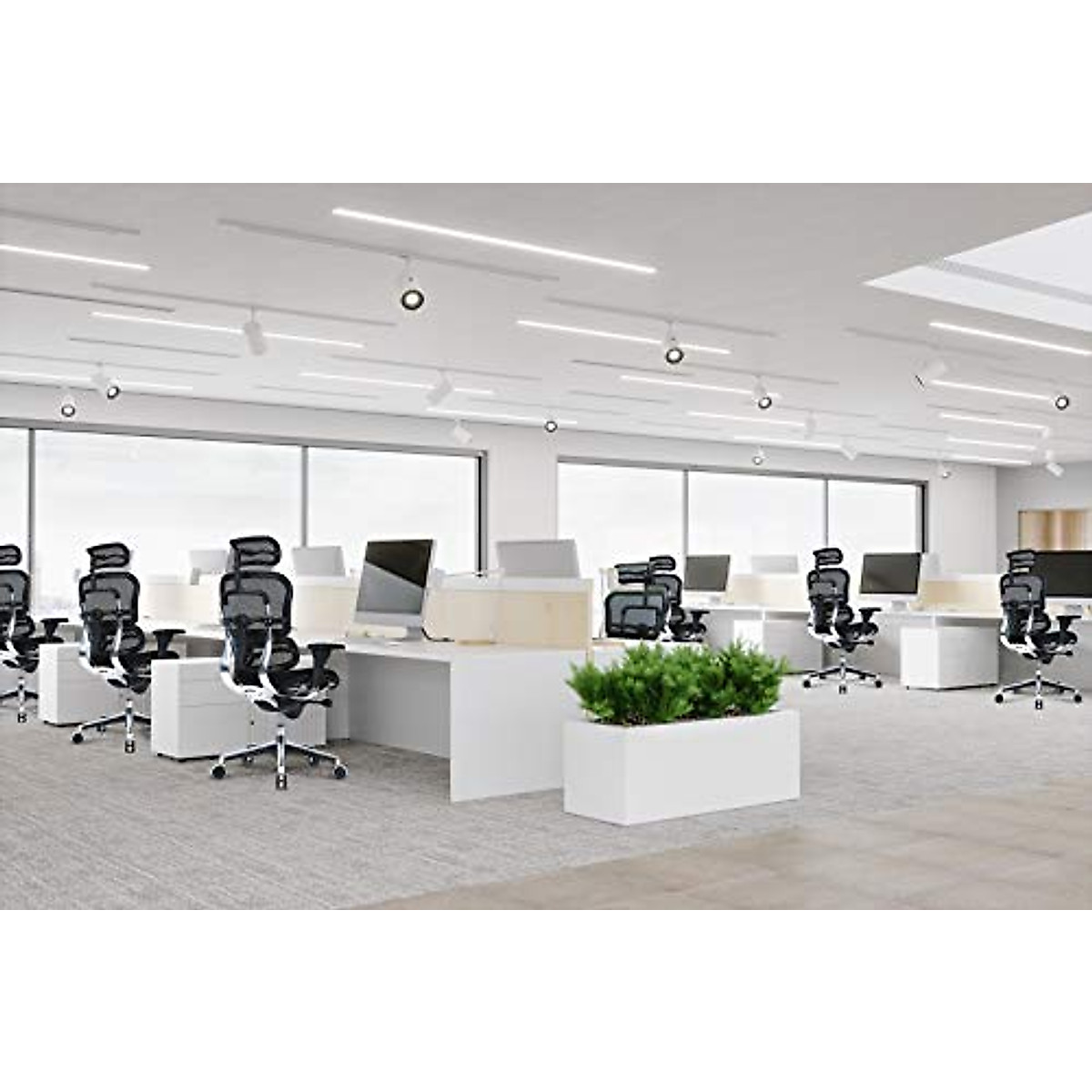 Eurotech Seating Ergohuman High Back Mesh Managers Chair, Black