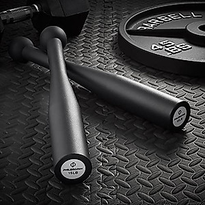 Philosophy Gym 15 LB Indian Clubs Pair- Weighted Steel Exercise Club Bells Set, Arm Strength Trainer, 30 LB Total