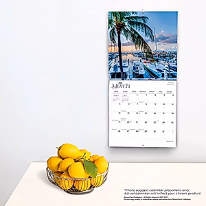 Florida Coast | 2023 12 x 24 Inch Monthly Square Wall Calendar | Foil Stamped Cover | BrownTrout | USA United States of America Southeast State Nature