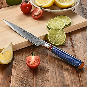 Utility Paring Knife 6 Inch Chef Knife Damascus Chefs Knife Utility Kitchen Knife Fruit Knife Japanese VG10 Kitchen Paring Knives High Carbon 67-Layer Gyuto Chef Knife Chopping Carving Knives