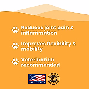 100% Natural Glucosamine for Cats - Msm Arthritis Pain Relief for Cats - Cat Hip and Joint Supplement Liquid - 260mg Glucosamine Chondroitin for Cats
