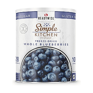 ReadyWise Simple Kitchen Fruit Bowl Mix - Freeze-Dried Berries, Apples and Banana Chips - Long-Term Emergency Food