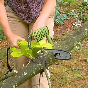 Sun Joe SWJ806E 8-Inch 8.0 Amp 2-in-1 Convertible Pole Chain Saw, Green