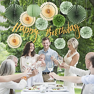 Sage Green Party Decorations Beige Tissue Paper Pom Poms Green Fans Lanterns Sage Party Decorations Boho Green Cream Party Decorations for Sage Birthday Wedding Bridal Baby Shower