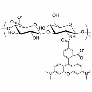 Hyaluronate-Rhodamine, MW 250kDa (50mg)