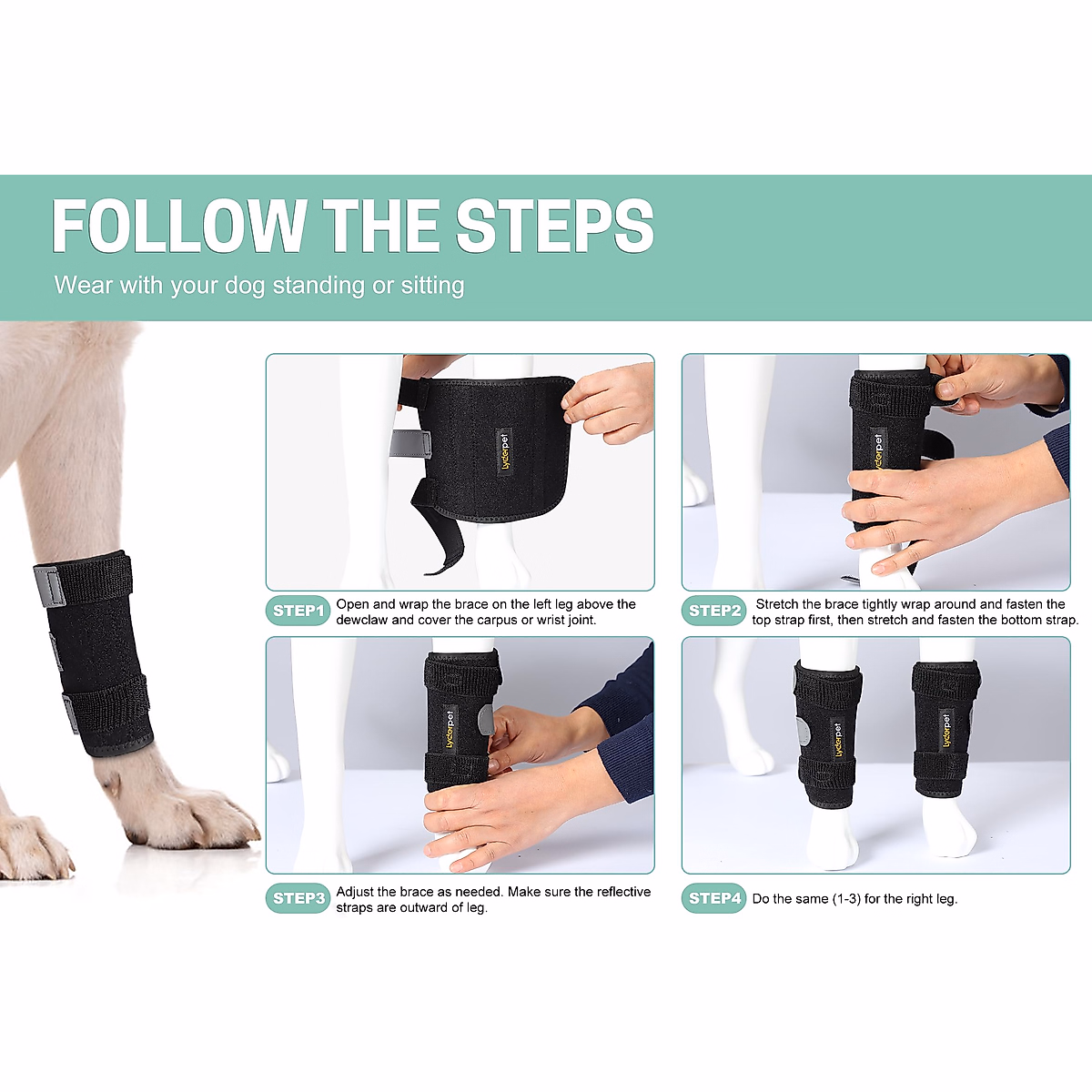 Lyderpet Dog Brace Front Leg Wrist Support, Canine Dog Carpal Brace Splint, Prevents Injuries and Sprains, Protects Carpus Joint Wounds Heals, Helps with Loss of Stability Caused by Arthritis