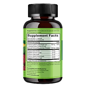 NATURELO Vegan Iron Supplement with Vitamin C and Organic Whole Foods - Gentle Pills for Women & Men w/Iron Deficiency Including Pregnancy, Anemia Diets 90 Mini Capsules