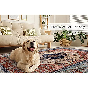 Valenrug Area Rug 5x7 - Stain Resistant Lightweight Washable Rug, Anti-Skid Rugs for Living Room, Boho Persian Area Rug(Multi, 5'x7')